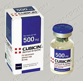 抗生素介紹 Part I：Daptomycin（Cubicin） - 科學，就是醬